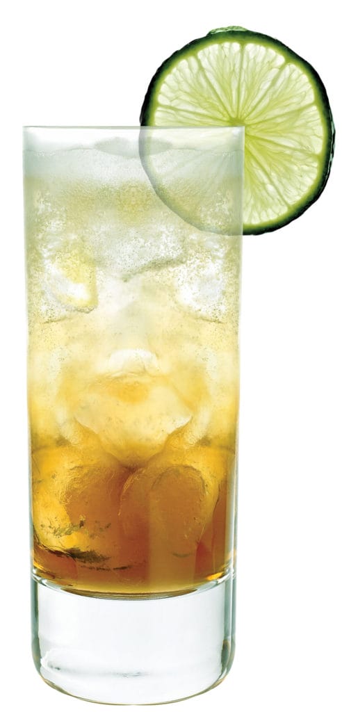 AGWA Cocktail Recipes for Christmas | BourbonBlog