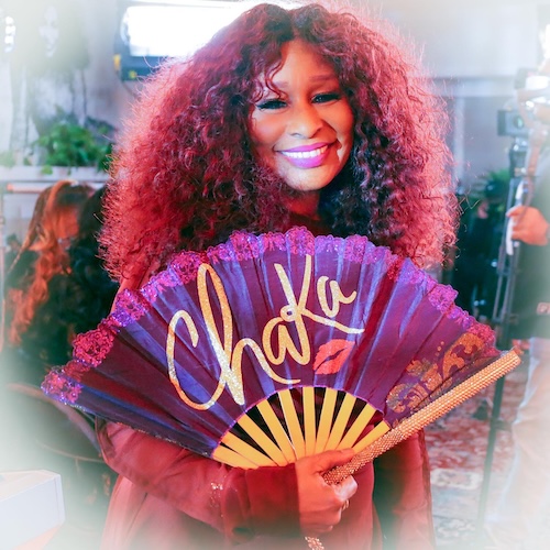 Patti LaBelle, Chaka Khan, Q from Impractical Jokers, Joey Fatone, Luis ...
